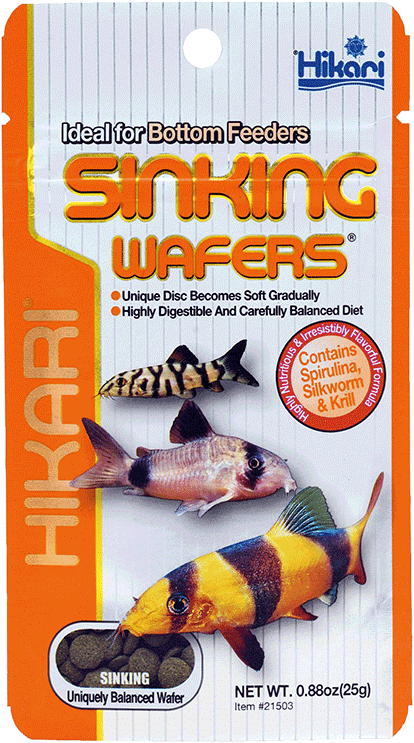 Hikari Sinking Wafers® – Tropeland – Dyrehandel nær Aarhus